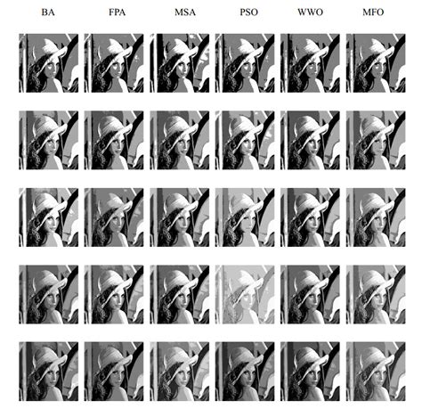 kapur s entropy for multilevel thresholding image segmentation based on moth flame optimization