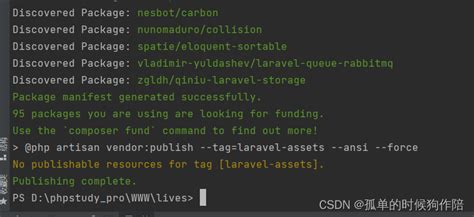 script php artisan package discover ansi handling the post autoload dump event returned with