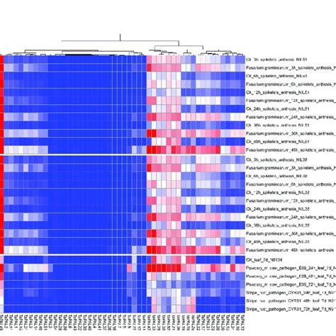 Heat Map Of Expression Profiles For TaPAL Genes Across Different