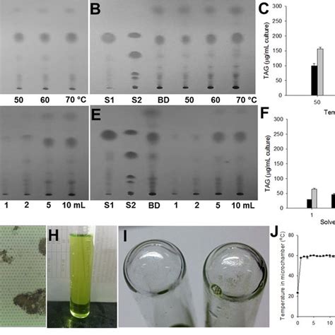 Microalgal Culture And Lipid Accumulation In The Microfluidic System