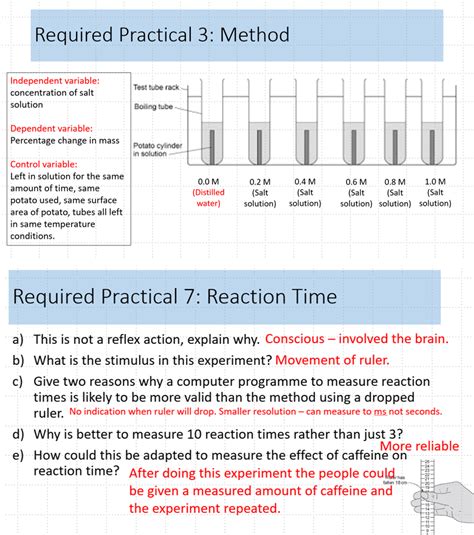 AQA GCSE Biology Required Practicals 1 10 Revision Teaching Resources