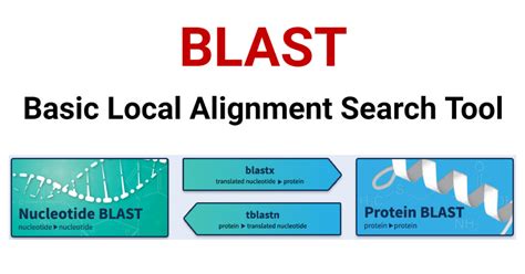 blast bioinformatics definition 5 types steps uses