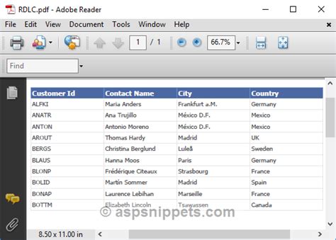 export rdlc report to pdf without using reportviewer in asp with c and vb how to