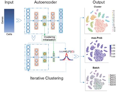 deep learning in single cell genomics laboratory for statistical and translational genomics