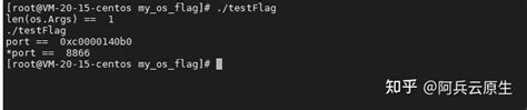 golang flag 包的使用指北 知乎