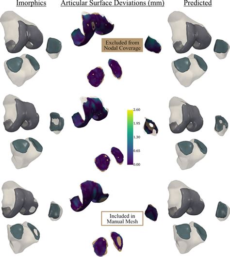 frontiers robust automatic hexahedral cartilage meshing framework enables population based