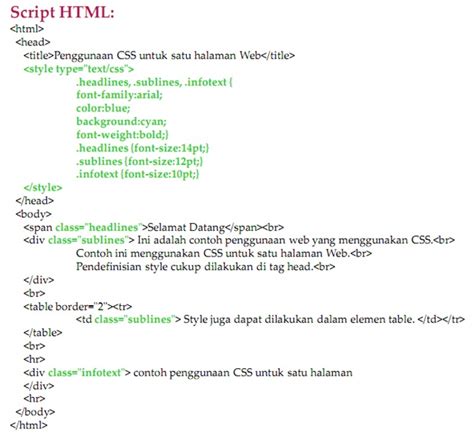 Pengertian Tipe Css Dan Fungsi Css Beserta Contoh Css Gratis
