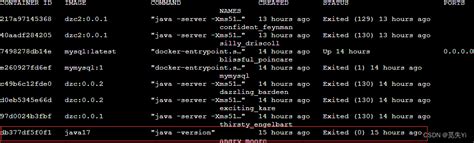使用docker部署springboot mysql项目 docker jdk17 csdn博客