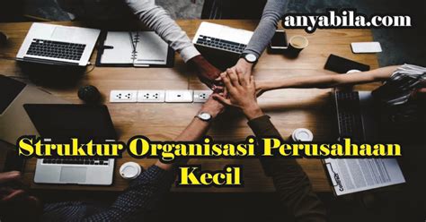 Struktur Organisasi Perusahaan Kecil Berikut Contoh Strukturnya Anyabila