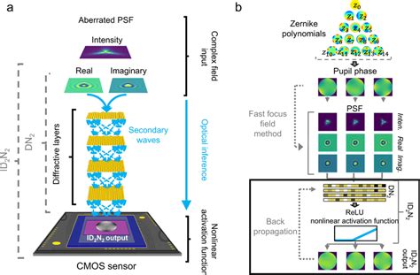 integrated diffractive deep neural networks id2n2 a schematic of a download scientific