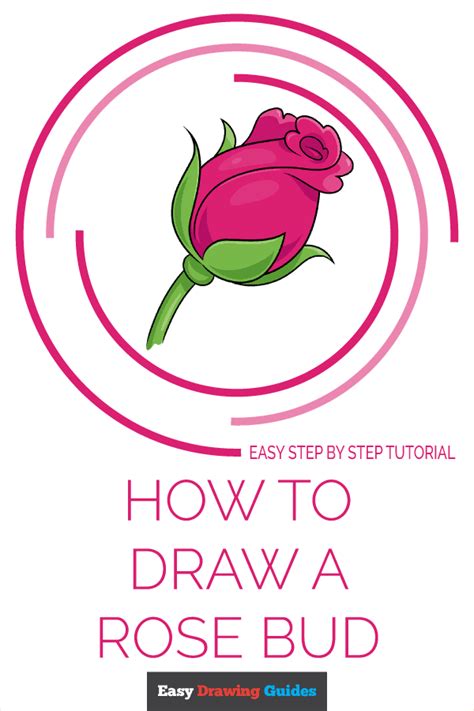 How To Draw A Rose Bud Really Easy Drawing Tutorial Drawing