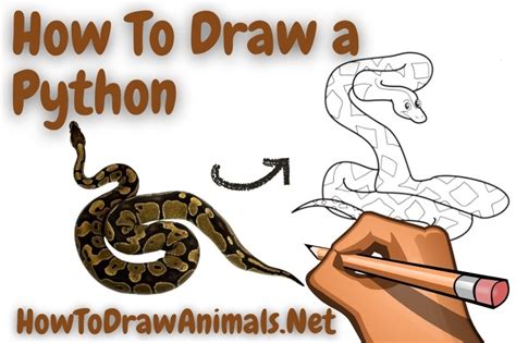 how to draw a python easy drawing tutorial