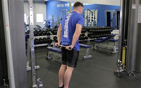 12 Best Forearm Workouts Exercises For Forearms Grip 53 Off