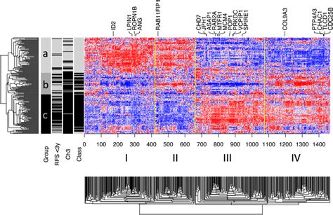 Gene Expression Heatmap Hierarchical Clustering With Pearson S