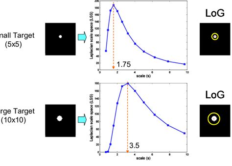 examples of laplacian scale space at the target centers and download scientific diagram