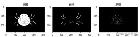 python图像处理笔记——形态学处理（skimage morphology） python 形态学处理 csdn博客