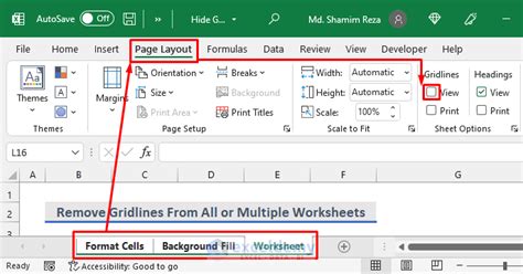 How To Remove Gridlines In Excel For Specific Cells 2 Methods