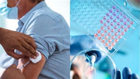 In Vivo Vs In Vitro Definition Pros And Cons Technology Networks