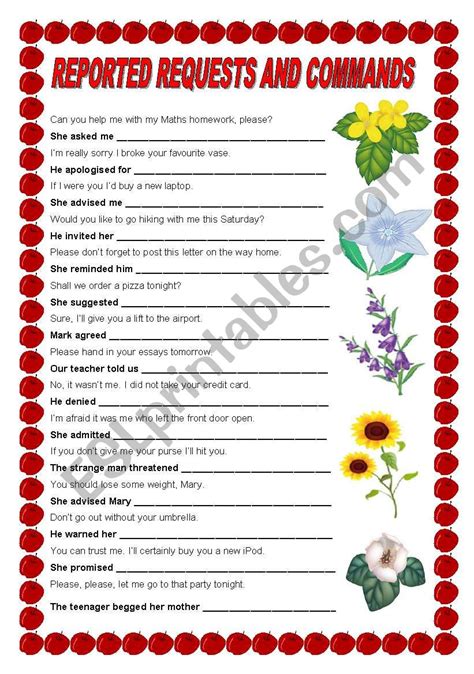 Reported Requests And Commands ESL Worksheet By Ildibildi