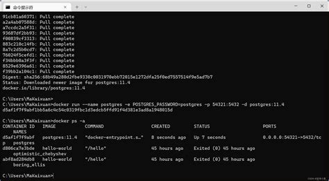 docker 安装 postgresql docker 安装 postgresql copy命令 csdn博客