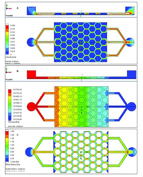 computational fluid dynamics cfd results for the bone microfluidic download scientific