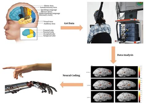 decoding steps of hand movements in different directions with fnirs data download scientific