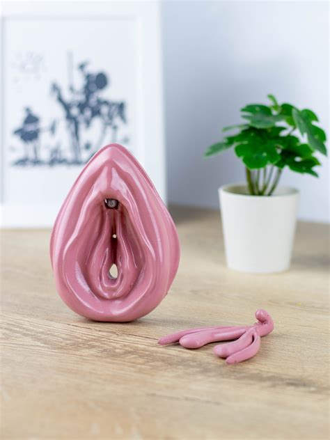 Anatomical Model Vulva Clitoris And Educational Notes 3d Printed Vagina