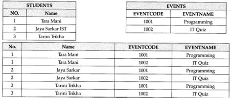 important questions for class 12 computer science python database concepts ncert