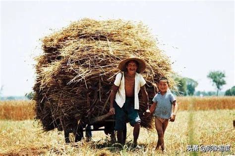 八十年代老照片吵架割麦生炉子看小人书带您回忆过去 小人书 架子车 老照片 新浪新闻