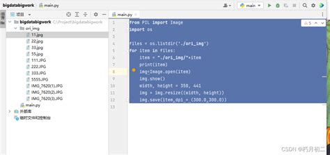 python批量图片像素大小和dpi 如何批量查看图片dpi csdn博客