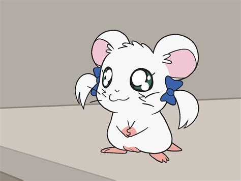 Post Animated Bijou Hamtaro Star Rifle