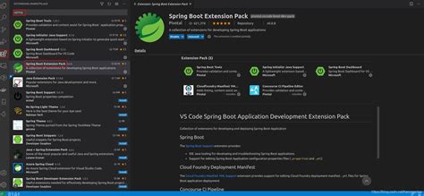 vscode java spring boot开发环境配置 vscode java springboot csdn博客