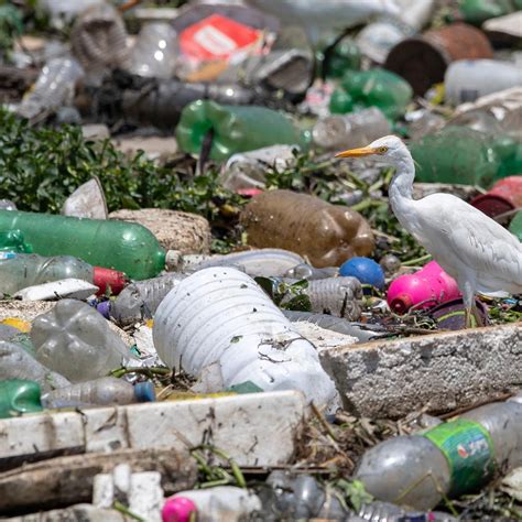 Figo 41 Fatti Su Comtoh Contoh Sampah Padat Di Rumah Contoh Limbah Anorganik Yaitu