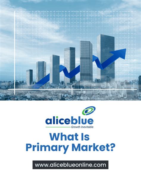 What Is Primary Market Example Types Functions