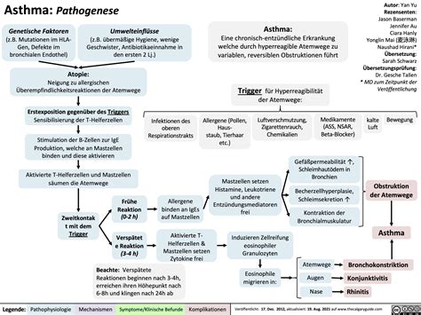 Asthma Pathogenese Calgary Guide