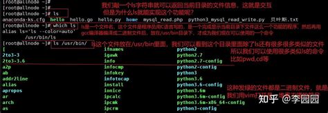 linux学习笔记（二十一）：shell编程 知乎
