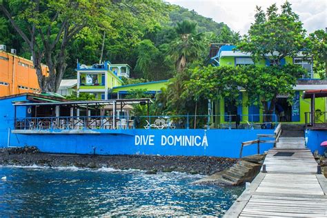 Castle Comfort Dive Lodge Dominicaroseau Opiniones Y Comentarios Hotel Tripadvisor