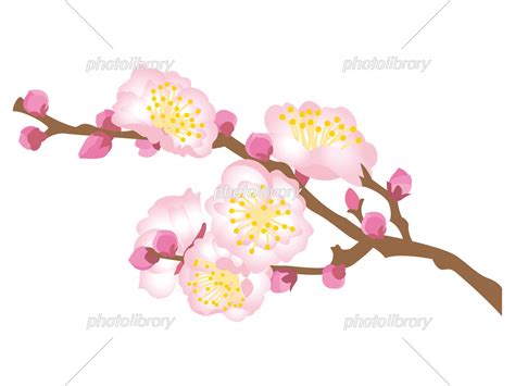 Photolibrary