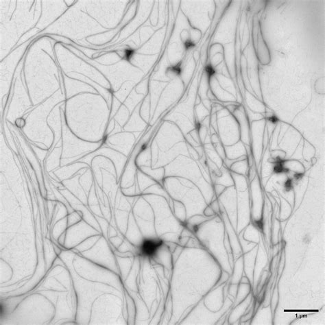 image analysis on long nanofibers in cell profiler or imagej image analysis image sc forum