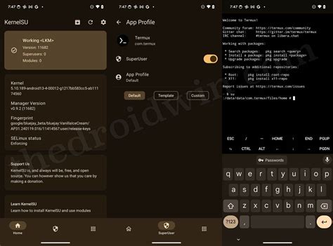 How To Fix Disable DM Verity Error In OnePlus System Updater App