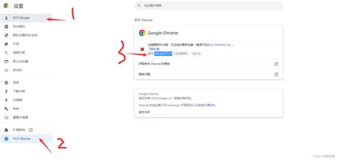 WebDriverException Selenium Common Exceptions WebDriverException
