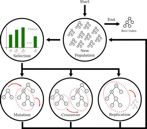 the general genetic programming process download scientific diagram