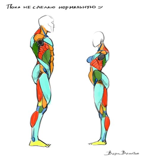 How To Draw The Torso Front View Artofit