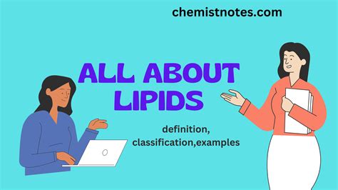 Lipid Definition Classification Examples And 7 Reliable Function