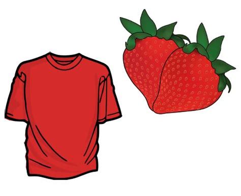 Classifying Objects With The Same Attributes