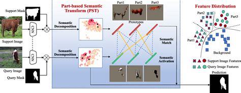 figure 1 from part based semantic transform for few shot semantic segmentation semantic scholar