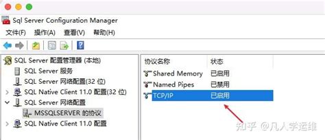 sql server develop版本开启tcp监听访问 知乎