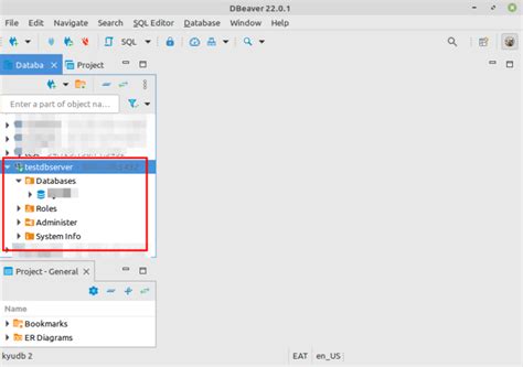 How To Connect To Remote Database In PgAdmin4 And DBeaver