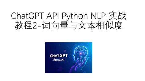 chatgpt api python nlp 实战教程2 词向量与文本相似度 youtube