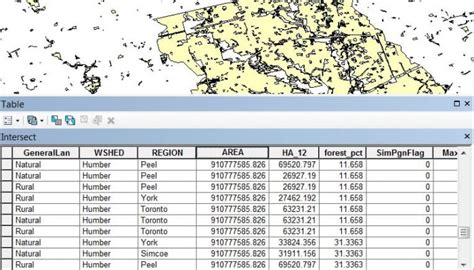 Geoprocessing Tools In Arcgis Geoprocessing Process Gisrsstudy